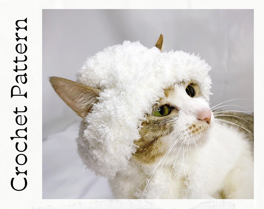 Crochet Pattern: Bucket Hat for Cats, PDF Instructions for Cat Winter ...