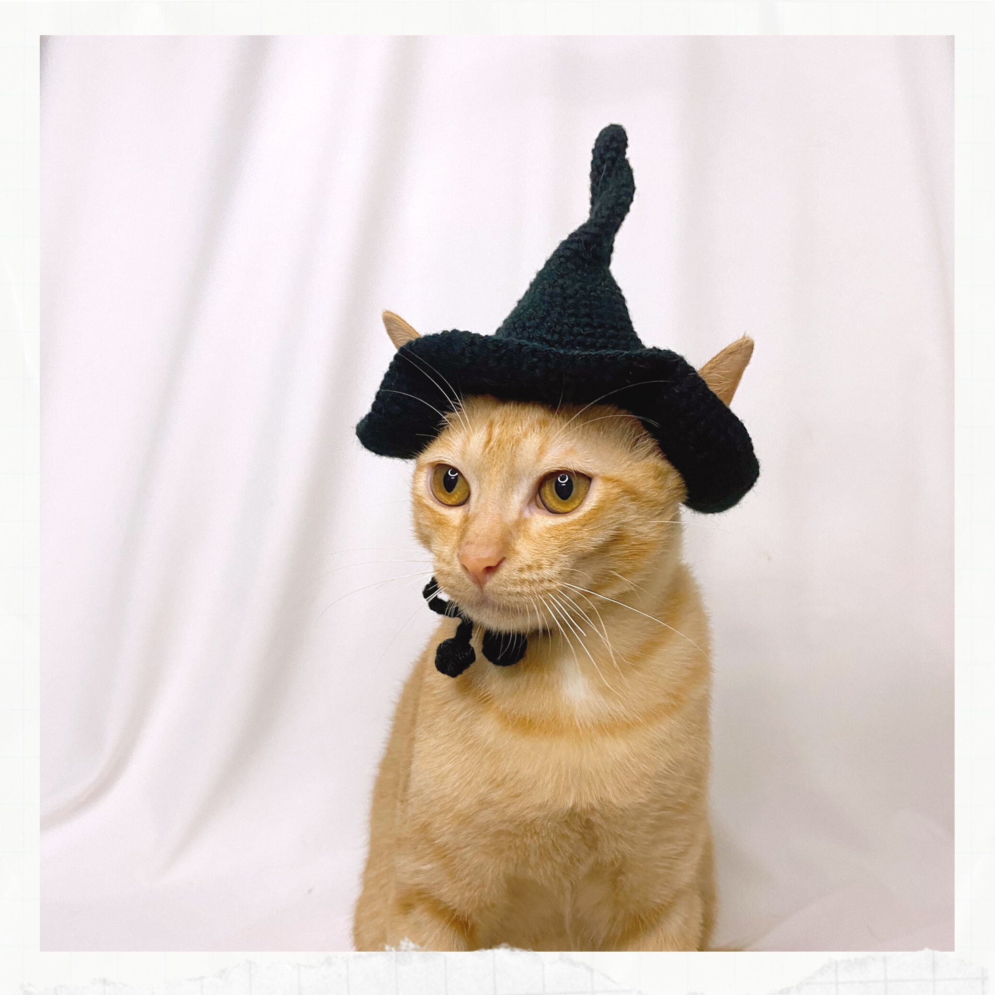 Crochet Pattern: Witch Hat for Cats, PDF Instructions for Cat Witch Hat ...