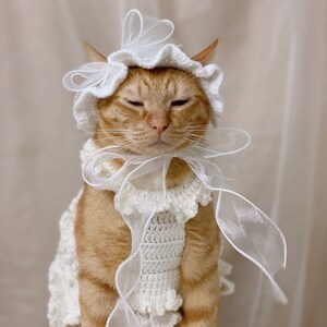 Cat Lady Bow Costume, Bonnets for Cats, Princess Dress for Pets ...
