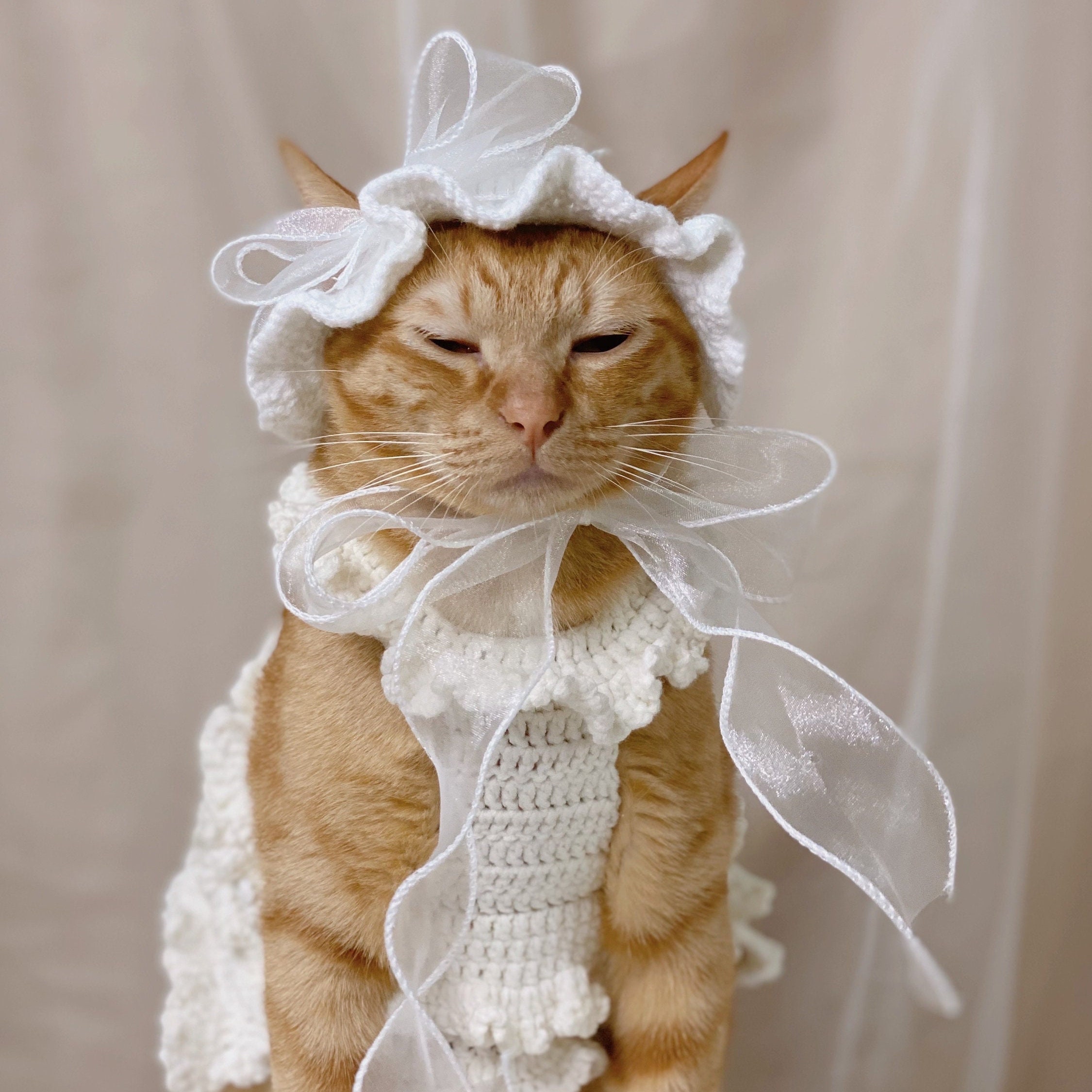 Cat Lady Bow Costume, Bonnets for Cats, Princess Dress for Pets ...