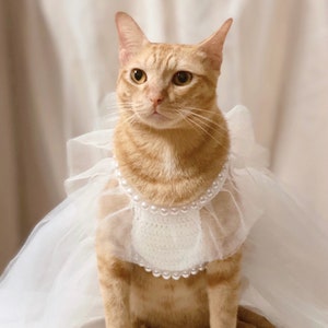Cat Wedding Dress Crown Bridal Veil Bridesmaid Costume Birthday Holiday ...