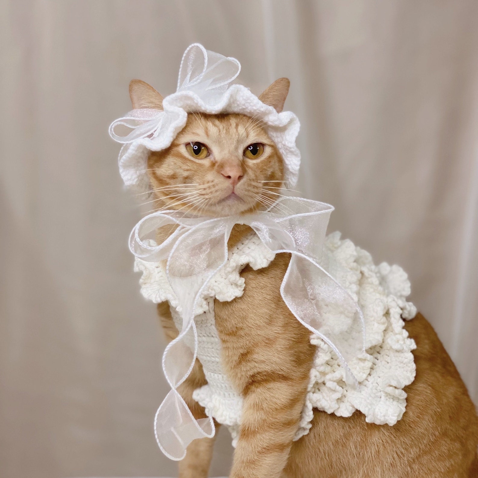 Cat Lady Bow Costume, Bonnets for Cats, Princess Dress for Pets ...