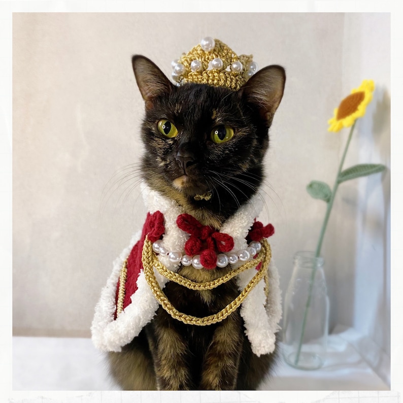Royal Prince Nobility Clothes for Cats Prince Crown for Cats - Etsy
