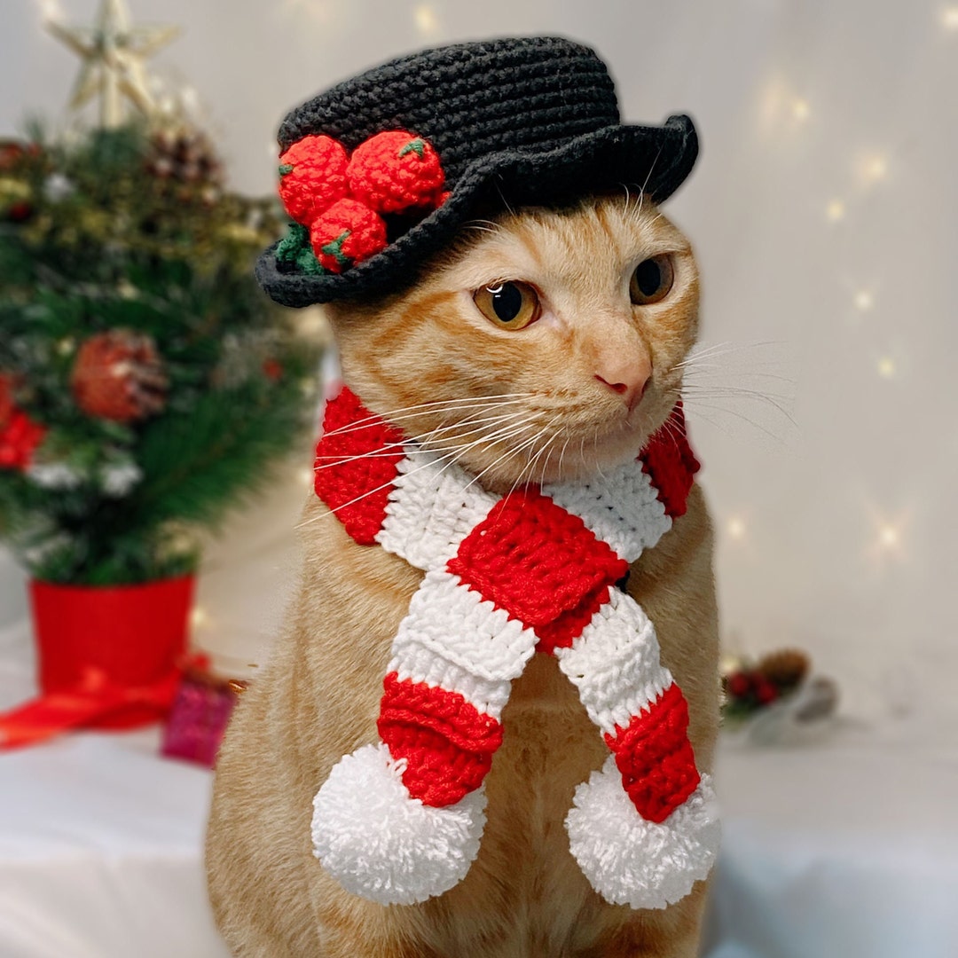 Snowman Cat Hat and Scarf Set - Funny Handmade Knitted Warm Dog Kitten ...