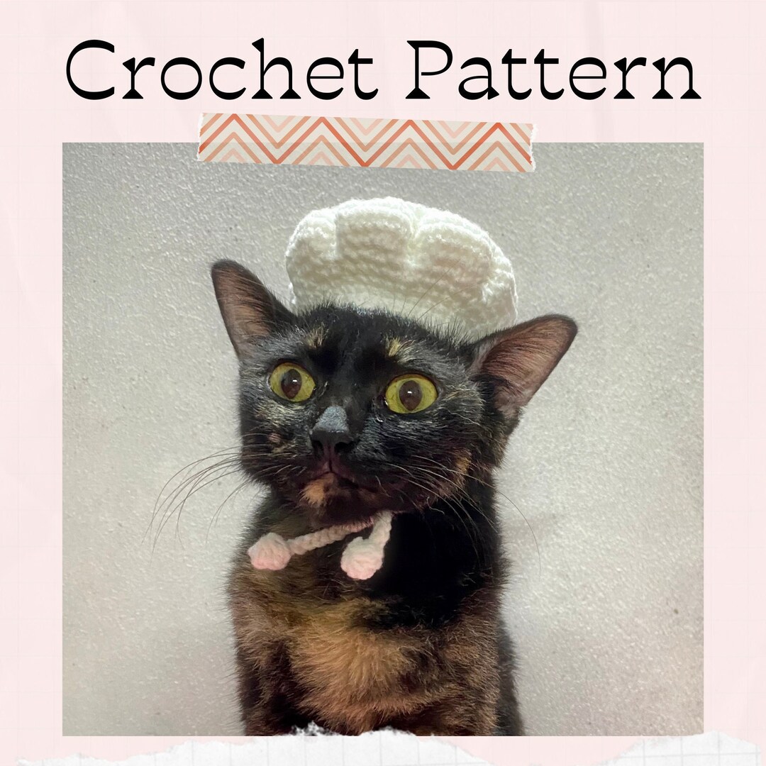 Crochet Pattern: Flared Toque Hat for Cats PDF Instructions - Etsy