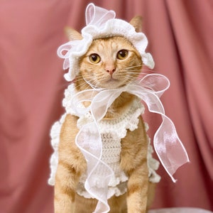 Cat Lady Bow Costume, Bonnets for Cats, Princess Dress for Pets ...