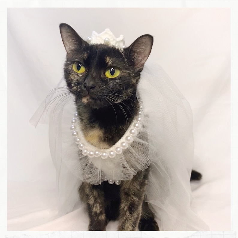 Cat Wedding Dress Crown Bridal Veil Bridesmaid Costume - Etsy