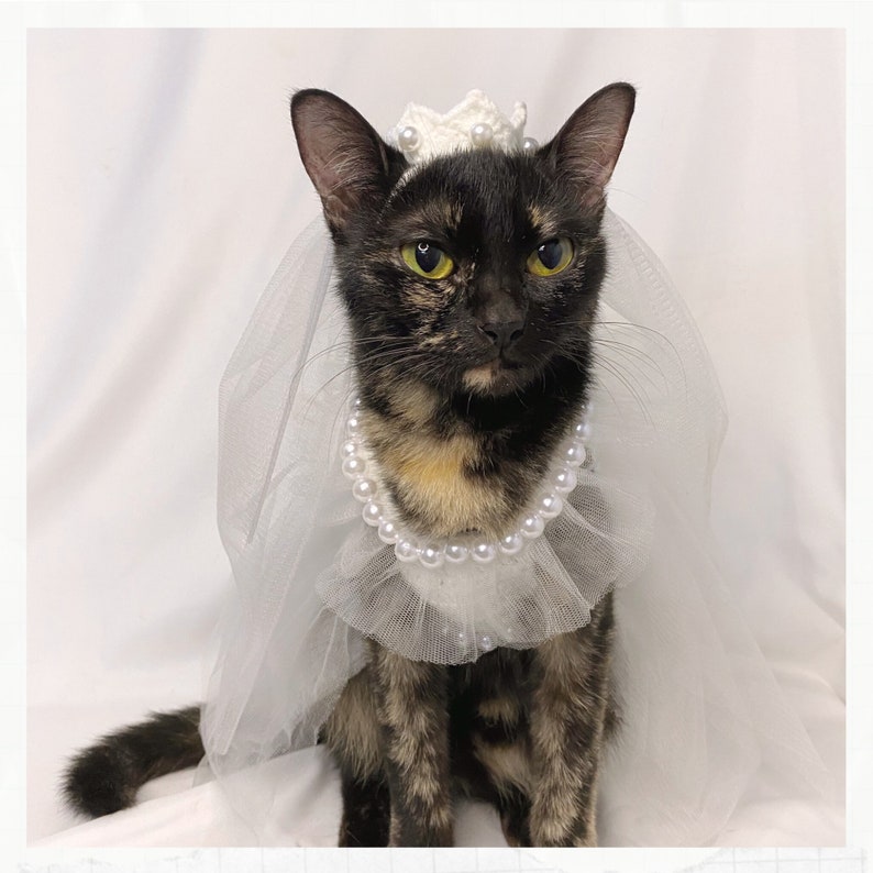 Cat Wedding Dress Crown Bridal Veil Bridesmaid Costume - Etsy