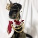 Royal Prince Nobility Clothes for Cats, Prince Crown for Cats, Handmade ...