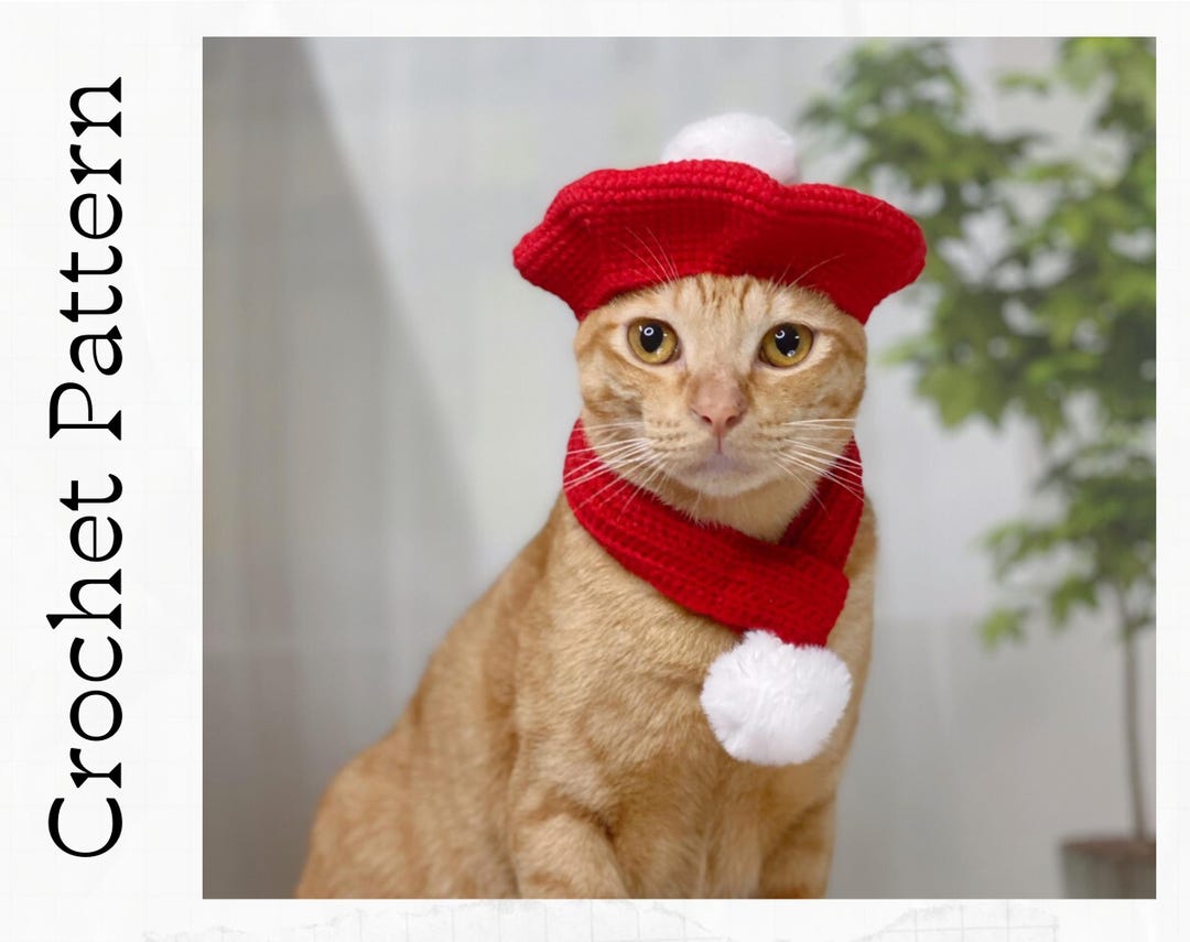 Crochet Pattern: Cat Beret Hat and Scarf Set With Pom Pom, PDF ...