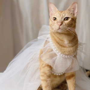 Cat Wedding Dress Crown Bridal Veil Bridesmaid Costume Birthday Holiday ...