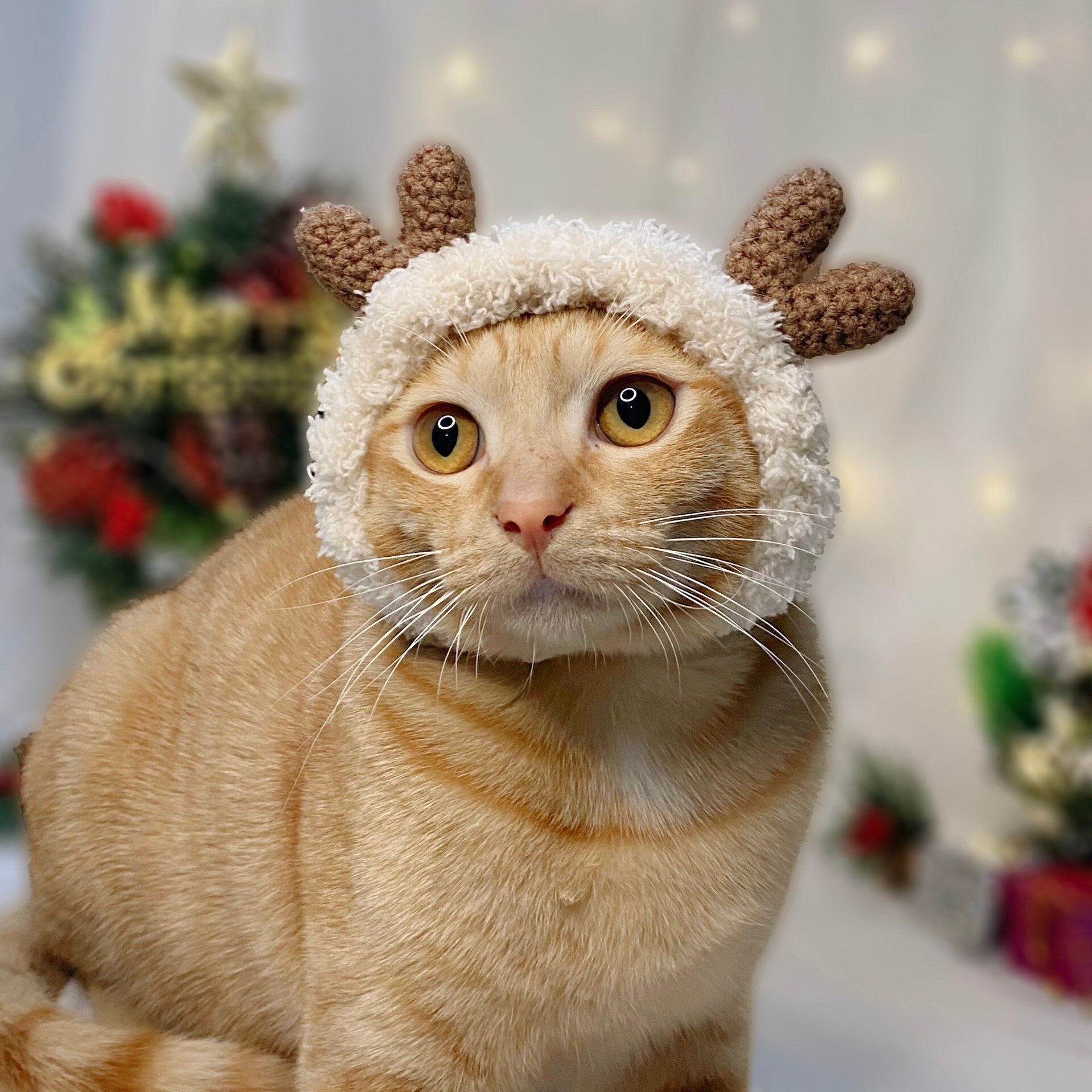 Reindeer Cat Hat With Ear Holes - Crochet Pet Clothes for the Holiday ...