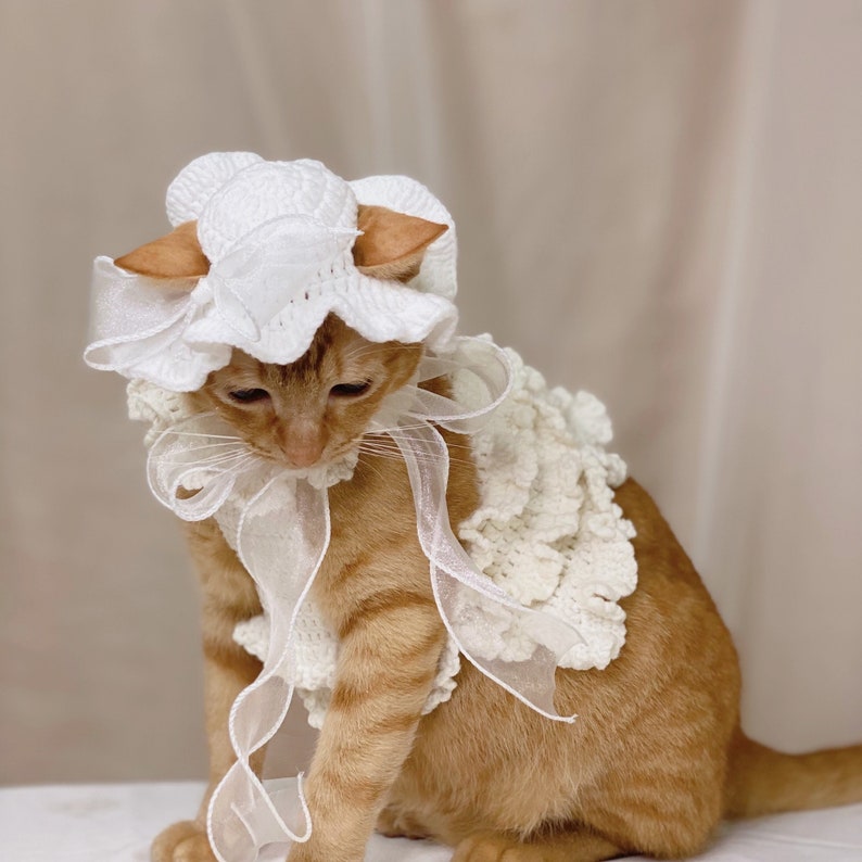 Cat Lady Bow Costume, Bonnets for Cats, Princess Dress for Pets ...