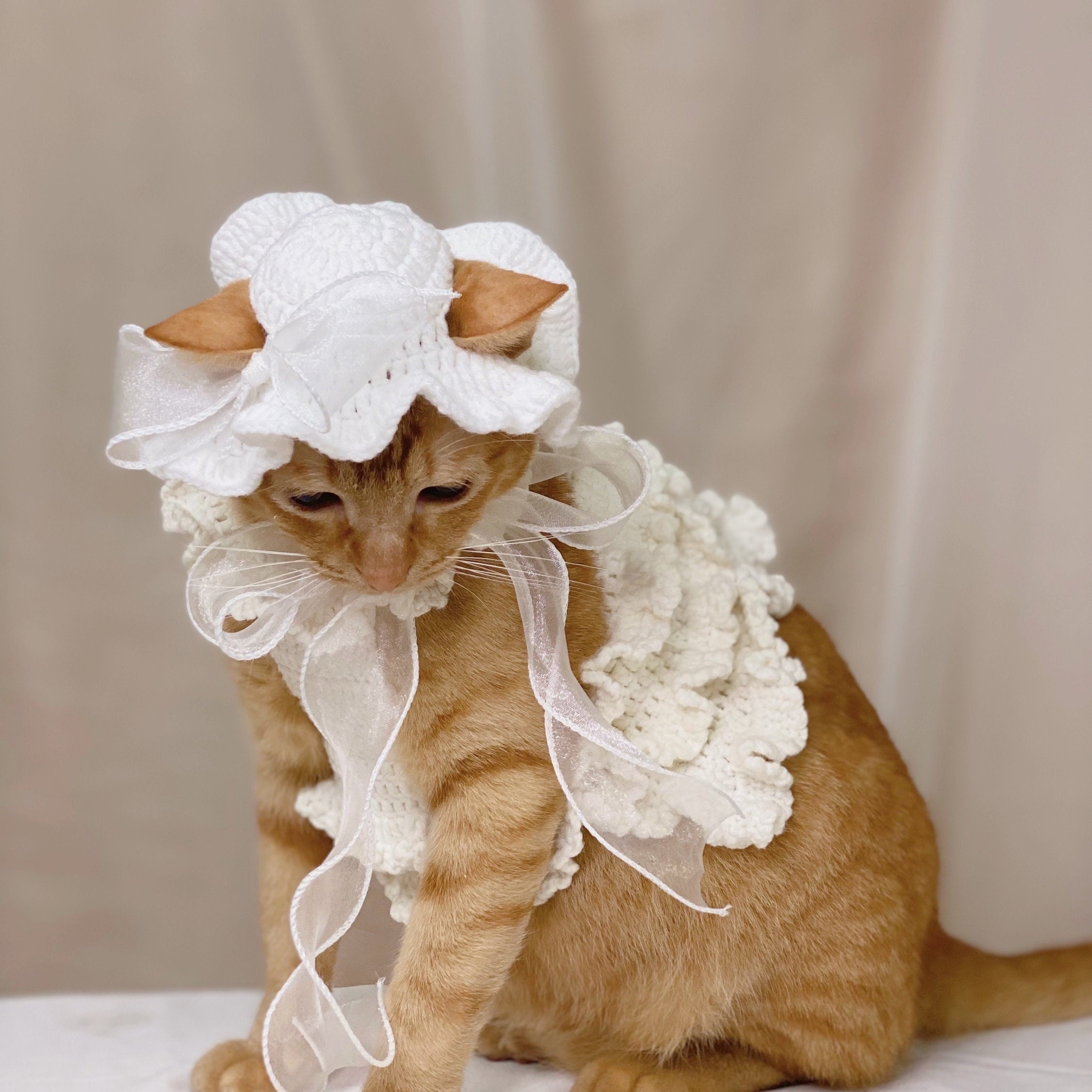 Cat Lady Bow Costume, Bonnets for Cats, Princess Dress for Pets ...