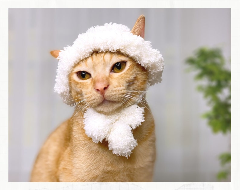 Bucket Fluffy Hat for Cats Crochet Funny Cat Hat With Ear - Etsy
