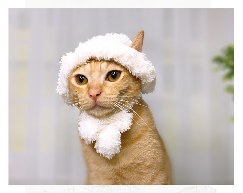 Bucket Fluffy Hat for Cats Crochet Funny Cat Hat With Ear - Etsy