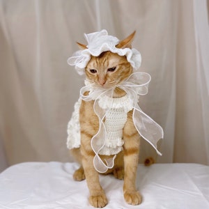 Cat Lady Bow Costume, Bonnets for Cats, Princess Dress for Pets ...