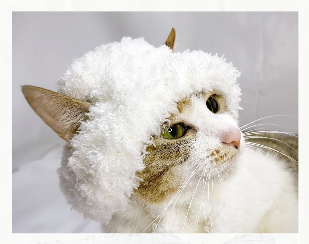 Bucket Fluffy Hat for Cats, Crochet Funny Cat Hat With Ear Holes, Pet ...