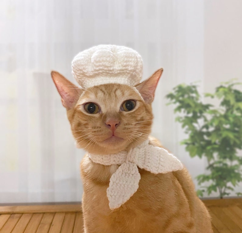 French Chef Hat and Scarf for Cats, Cook Pet Cosplay Outfit, Hat ...
