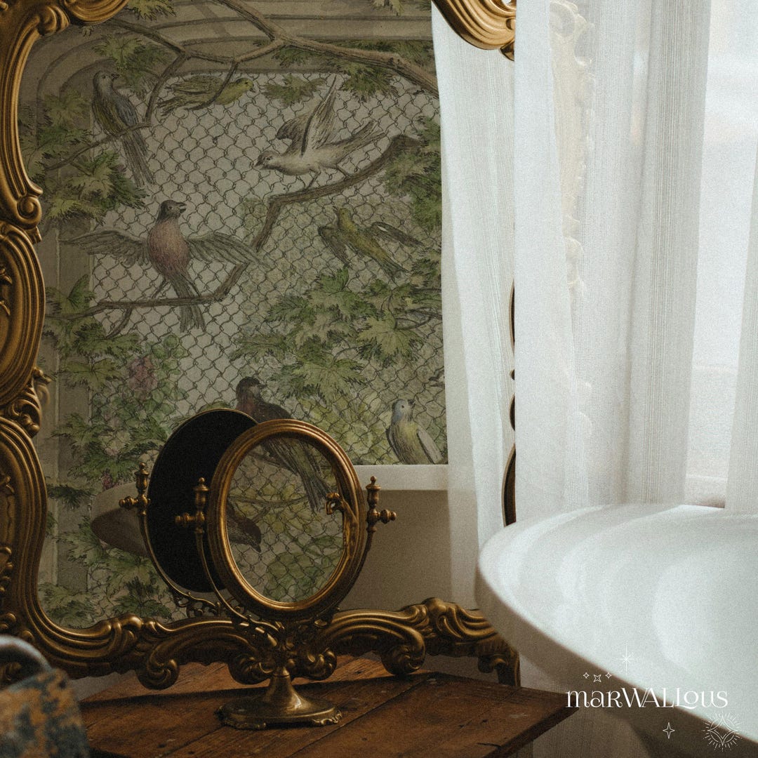 Vintage Aviary Wallpaper, Birdcage Mural, Ornamental Birds and Greenery ...