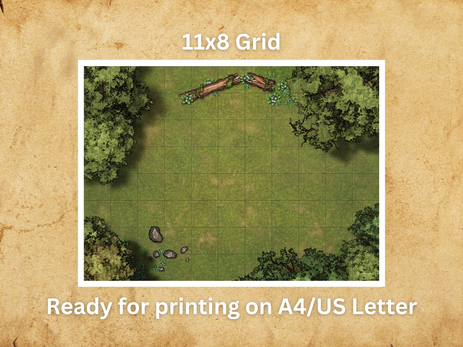 Forest Map Bundle | 5 Maps | 2K | Rain and Night Variations | D&D ...