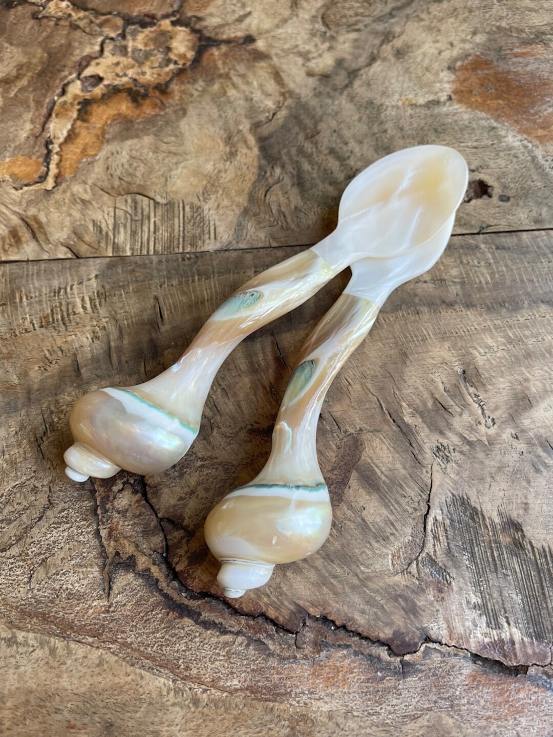 Mother of Pearl Seashell Spoon, Advanced Shaped Spoon, Organic Gift ...