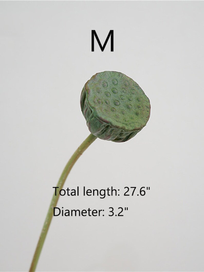 Fake Lotus Seed Pod Stem, Artificial Flower Craft, Vintage Home Floral ...