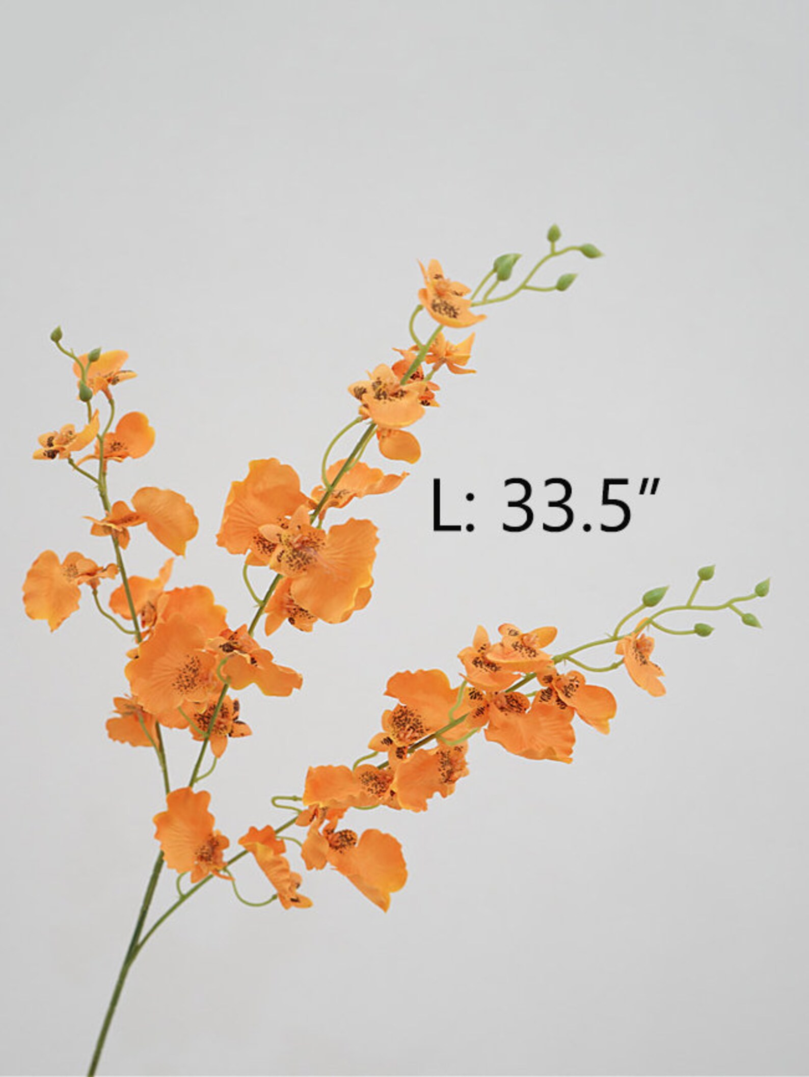 Dancing Lady Orchid With Long Stem, Fake Orchid Oncidium, Real Touch ...