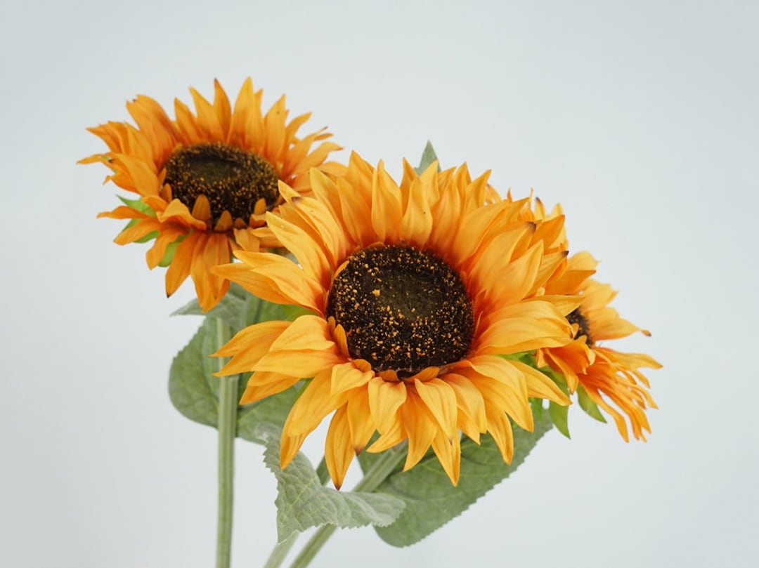 Quality Sunflower Stem With Leaves Real Touch Petals - Etsy