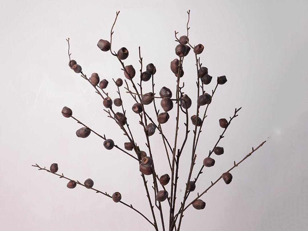 Eucalyptus Fruit Branch, Fall Berry Sprig Craft, Artificial Flower ...
