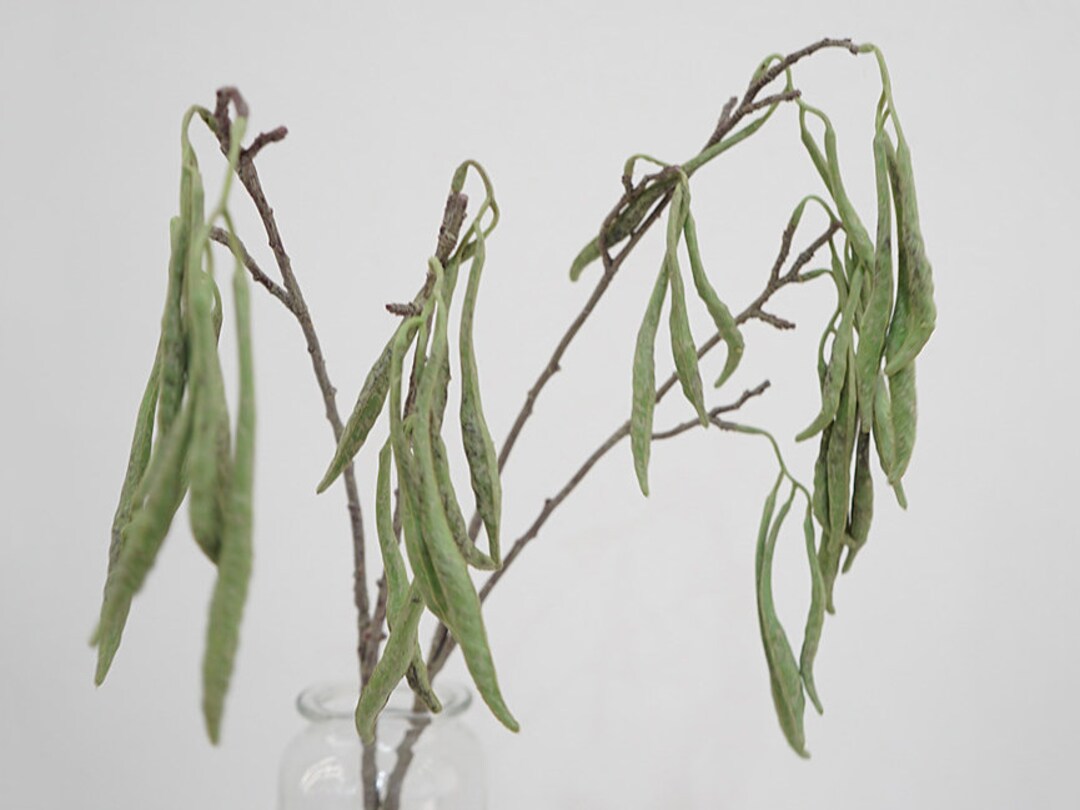 Fake Flat Bean Stem, Artificial Romano Bean Craft, Rustic Snap Bean ...