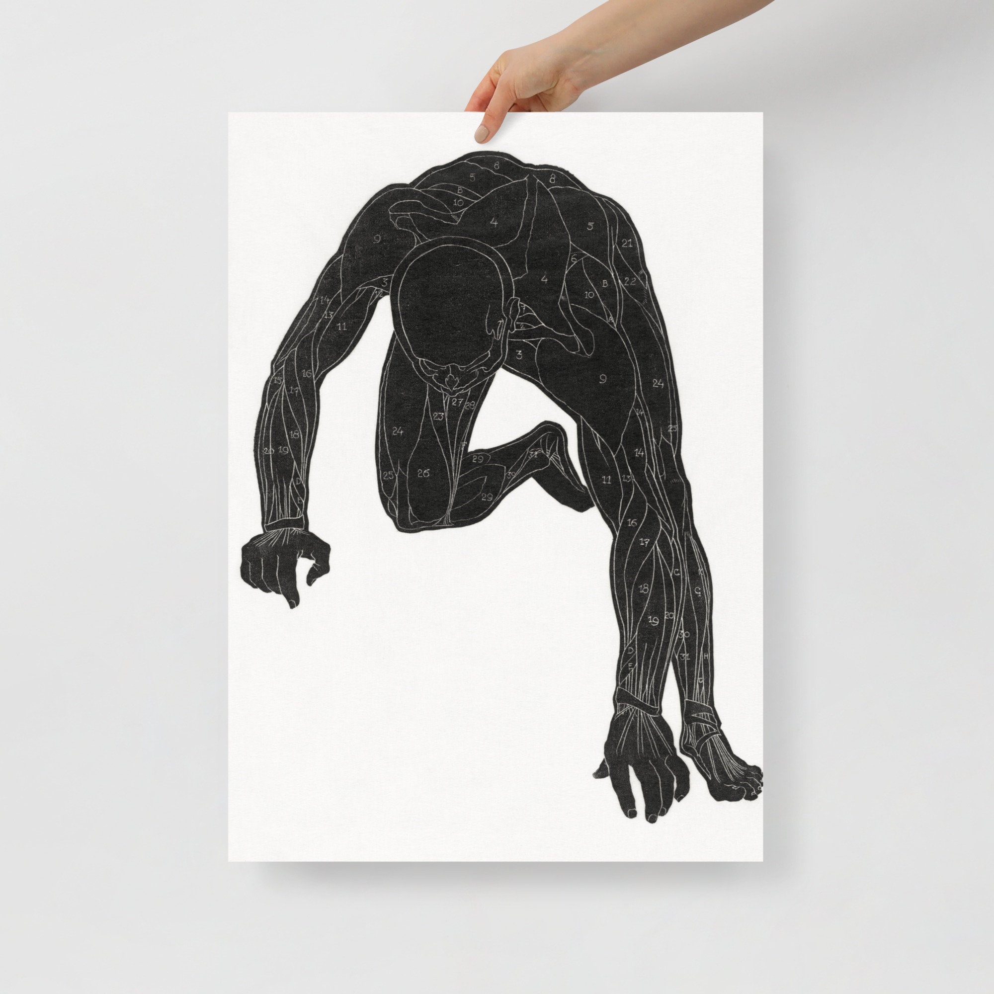 Anatomical Study of a Man's Body Wall Art by Reijer Stolk. - Etsy