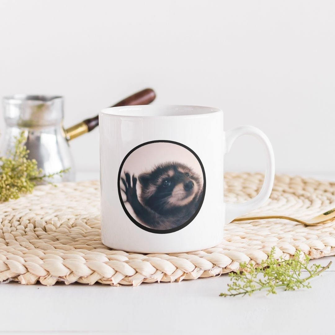 Pedro Mug, Pedro Mapache, Meme Coffee Mug, Funny and Original Pedro ...