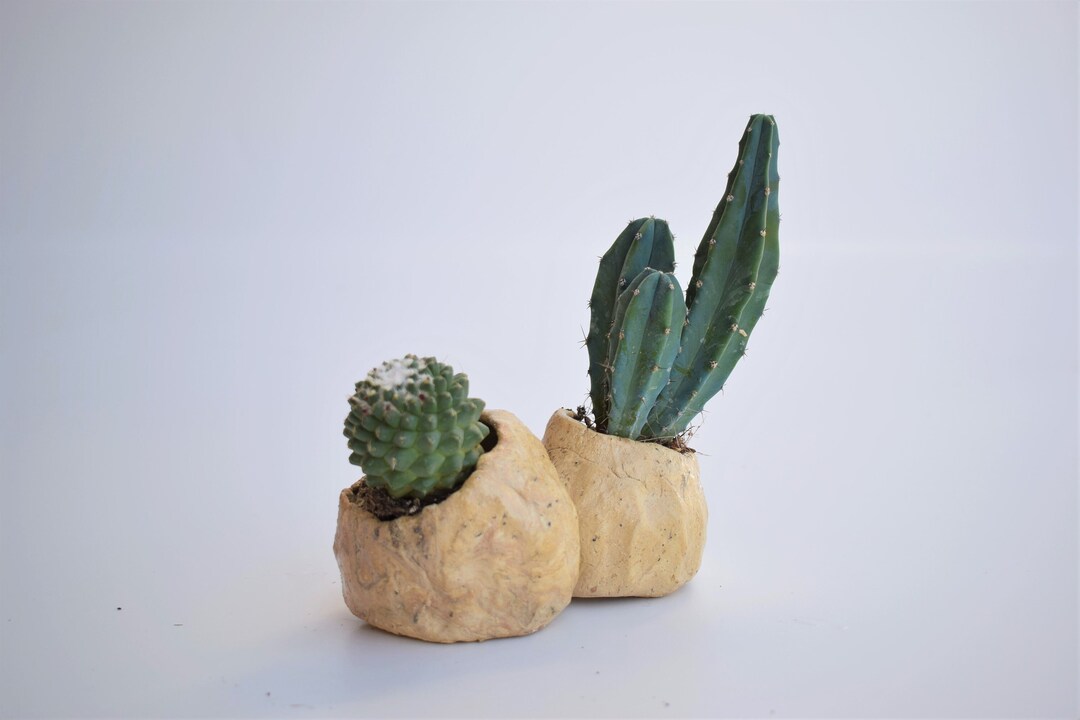 Double Minimal Rustic Plant Pot in Beige Colour Pottery - Etsy