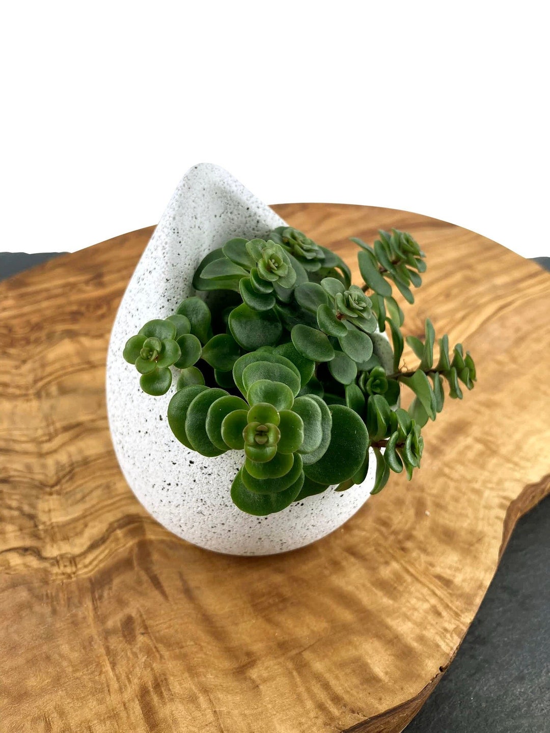 Great Planter Drop-shaped Heavy White, Speckled, Succulents and Small ...