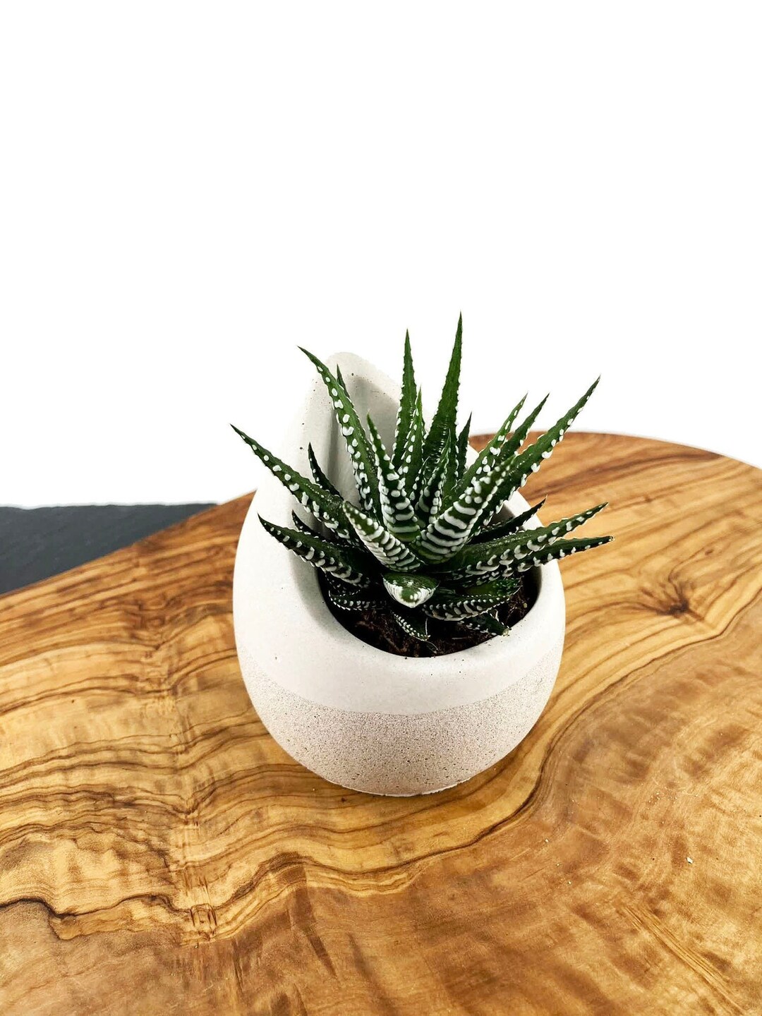 Great Planter Drop-shaped Heavy NATURAL STONE OPTIC for Succulents and ...