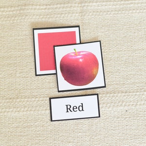 Fruit and Color Matching Activity Card Printable, Montessori Shelf ...