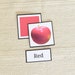 Fruit and Color Matching Activity Card Printable, Montessori Shelf ...