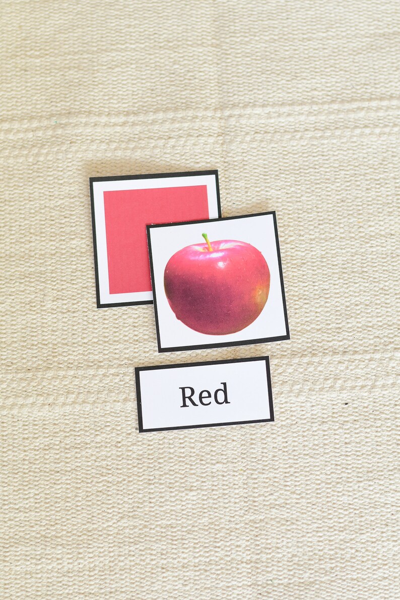 Fruit and Color Matching Activity Card Printable, Montessori Shelf ...