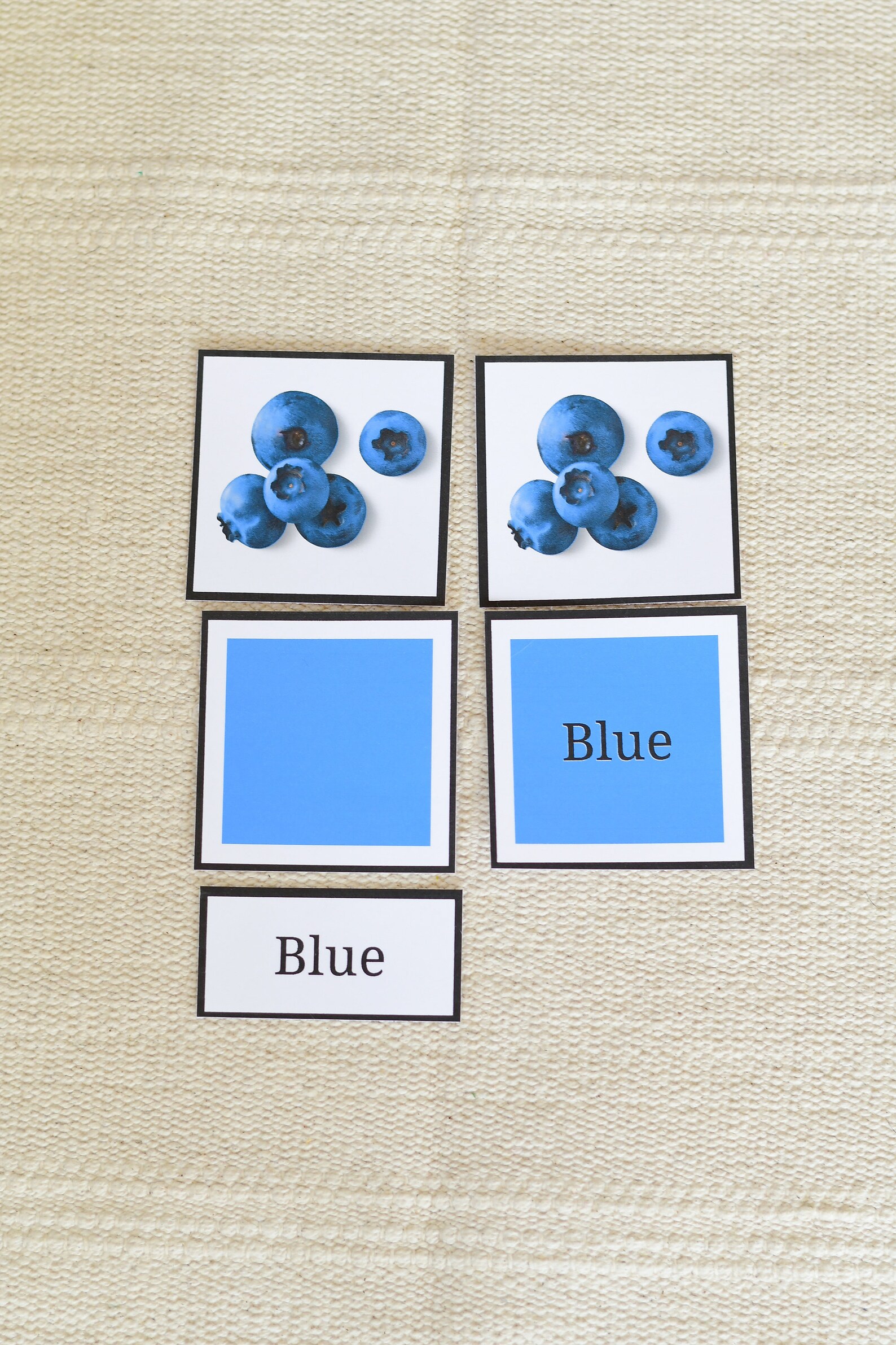 Fruit and Color Matching Activity Card Printable, Montessori Shelf ...