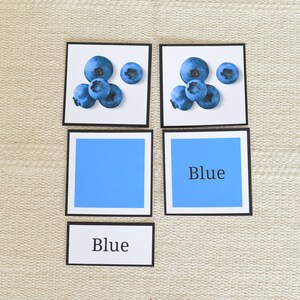 Fruit and Color Matching Activity Card Printable, Montessori Shelf ...