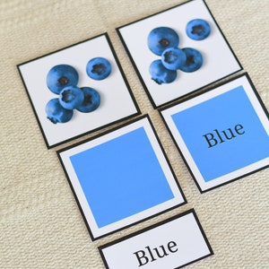 Fruit and Color Matching Activity Card Printable, Montessori Shelf ...