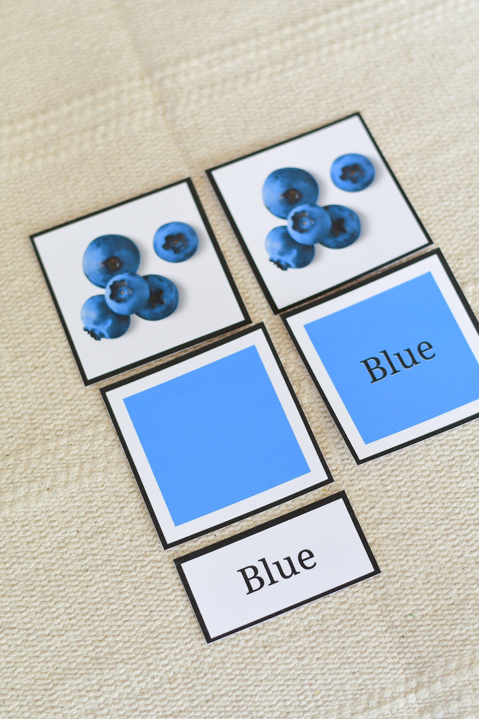 Fruit and Color Matching Activity Card Printable, Montessori Shelf ...
