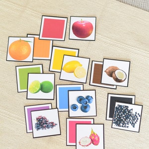 Fruit and Color Matching Activity Card Printable, Montessori Shelf ...