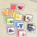 Fruit and Color Matching Activity Card Printable, Montessori Shelf ...