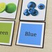 Fruit and Color Matching Activity Card Printable, Montessori Shelf ...