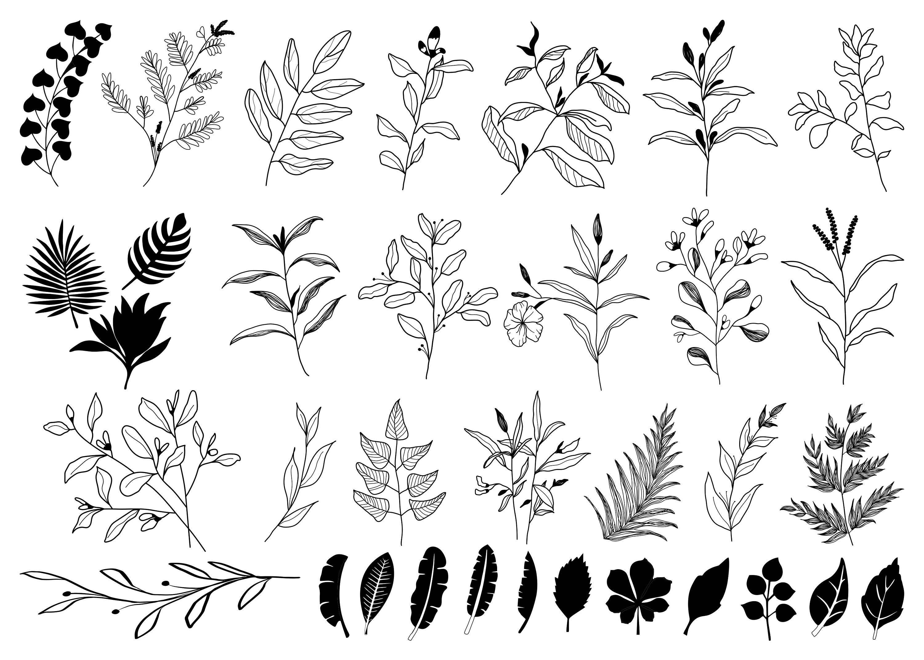 48 Leaves SVG / Hand Drawn Leaves SVG / Cut Files / Files for - Etsy