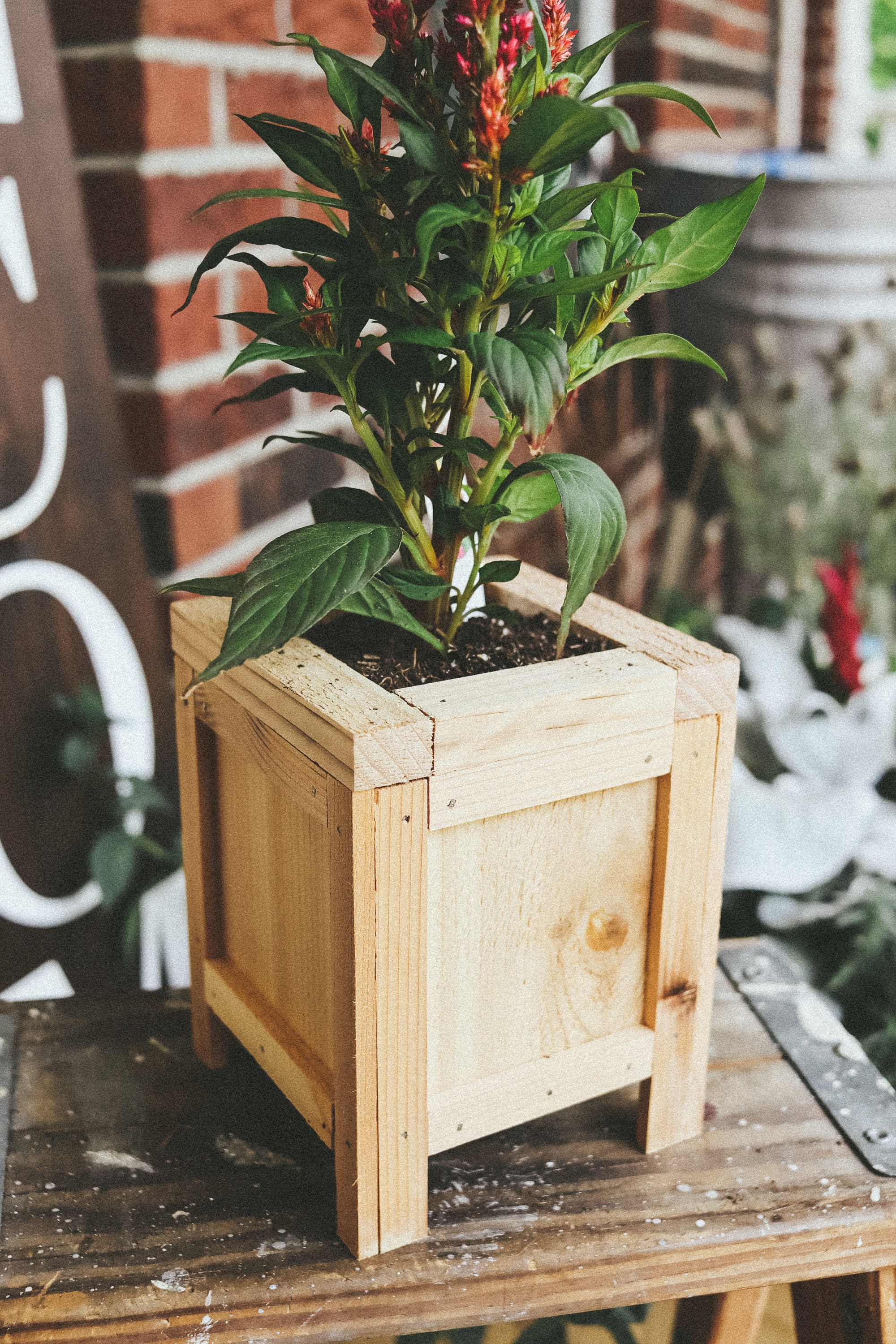 Mini jardinera jardinera de cedro jardinera exterior - Etsy México