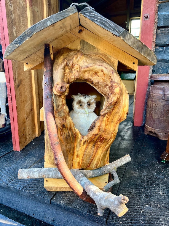 Custom Handcrafted Wooden Owl House Includes Bedding Eastern - Etsy