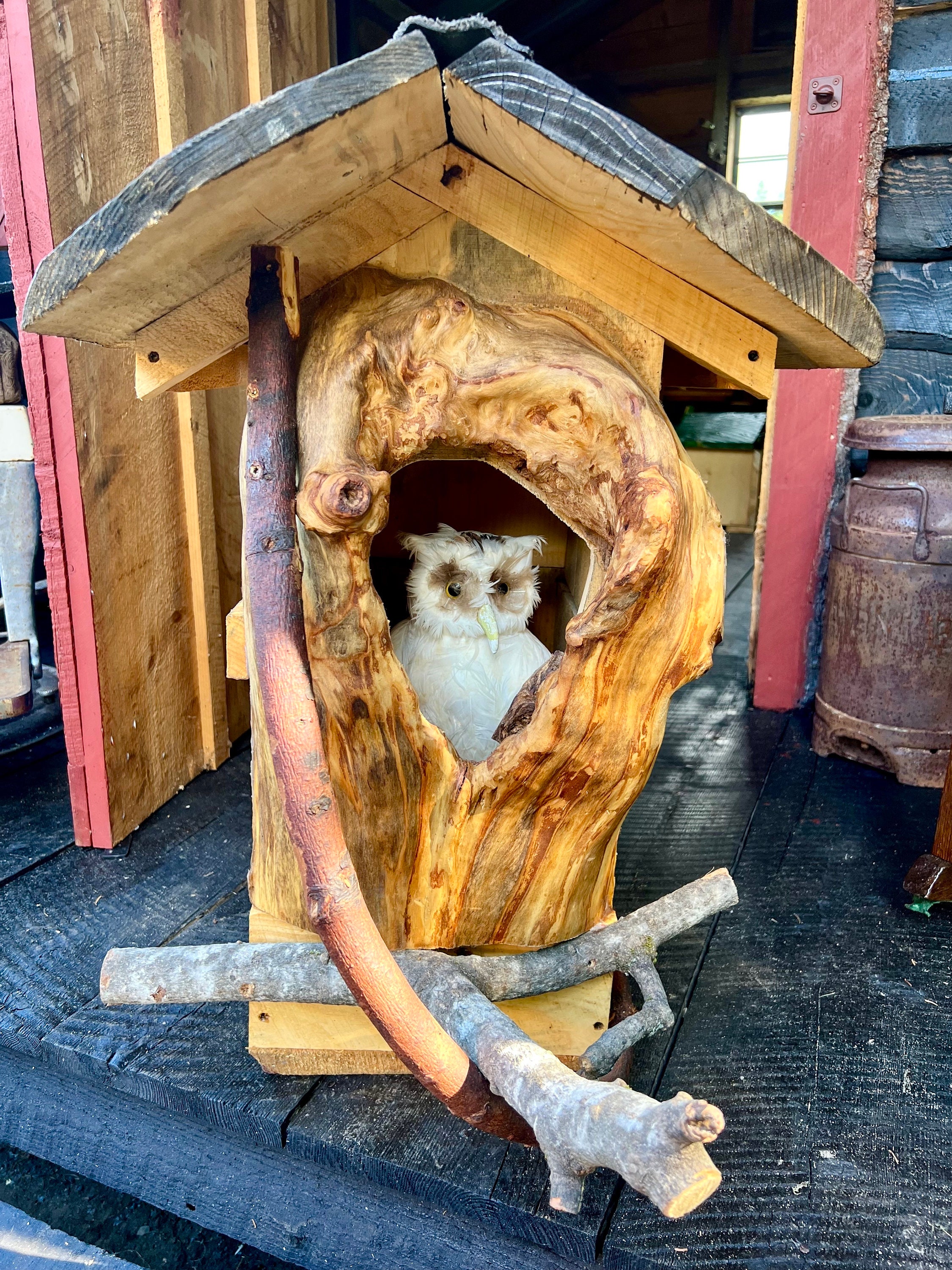 Custom Handcrafted Wooden Owl House, Includes Bedding, Eastern Red ...